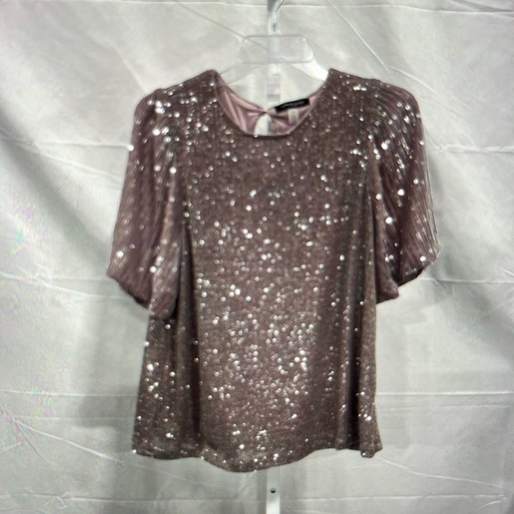 Cable & Gauge | Tops | Large Cable Gauge Pinkish Purple Sequin Blouse ...